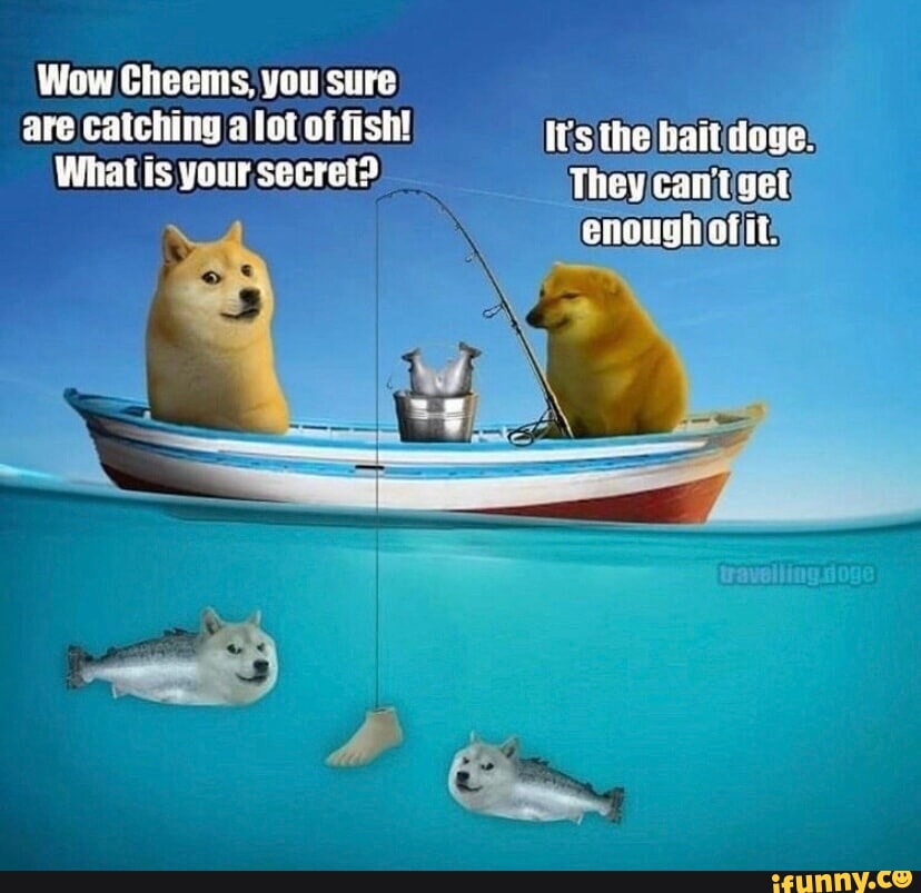 Cheems memes. Best Collection of funny Cheems pictures on iFunny