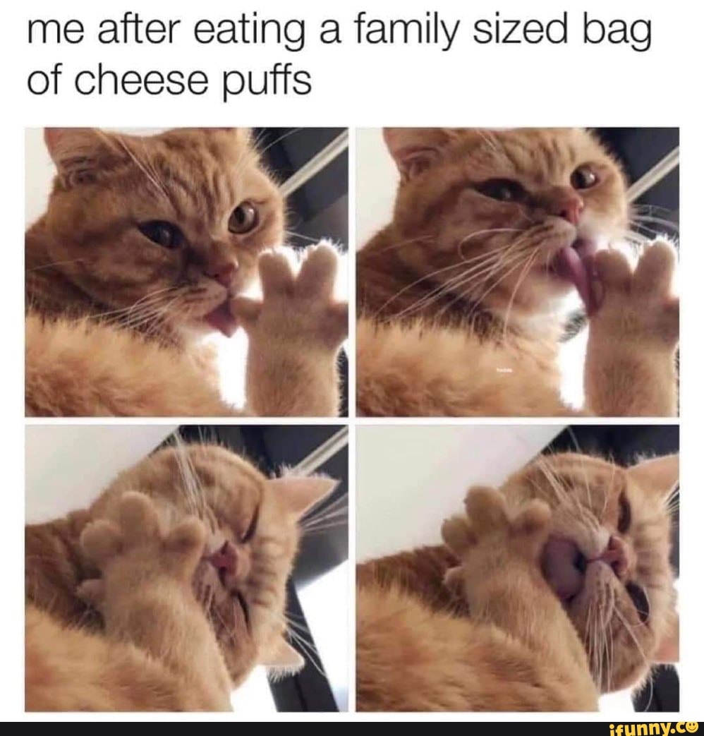 Me after eating a family sized bag of cheese puffs - iFunny
