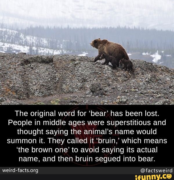 The original word for 'bear' has been lost. People in middle ages were ...