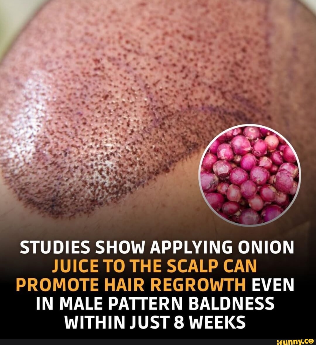 iFunny - the best memes, video, gifs and funny pics in one place