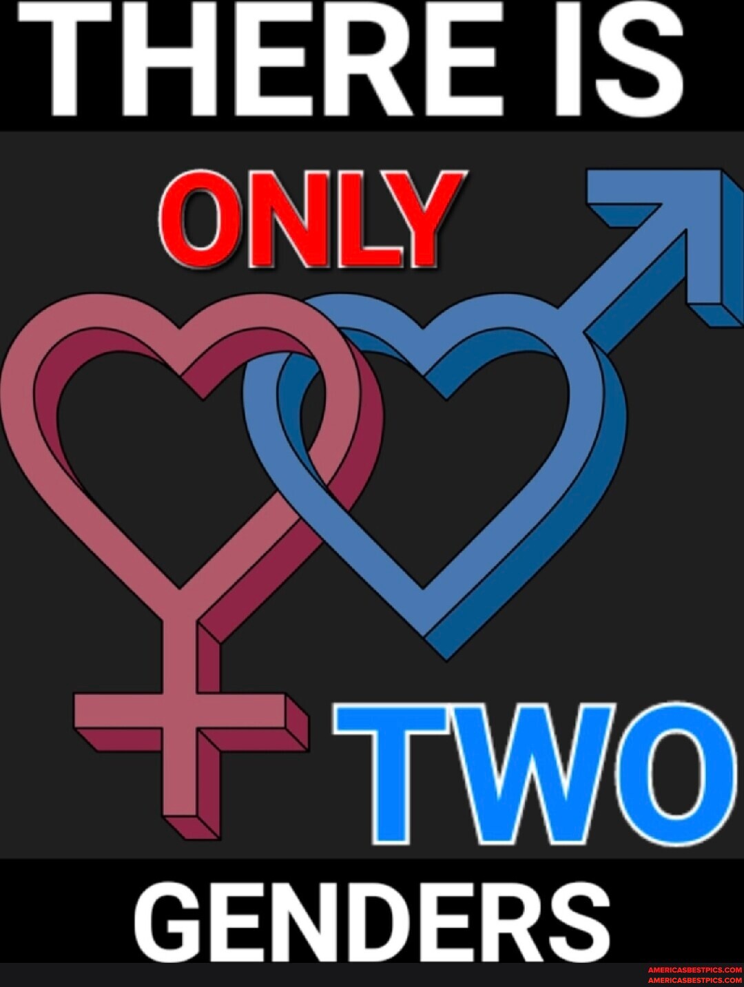 THERE IS ONLY TWO GENDERS - America’s best pics and videos