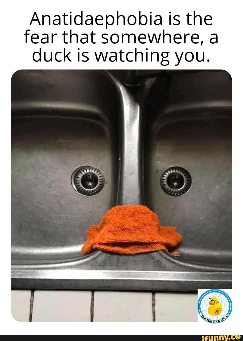 Anatidaephobia is the fear that somewhere, a duck is watching you. - iFunny