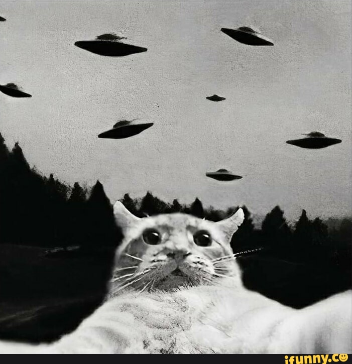 Picture memes 64cvJlNvA by Beef_Gravy_Studios: 1 comment - iFunny