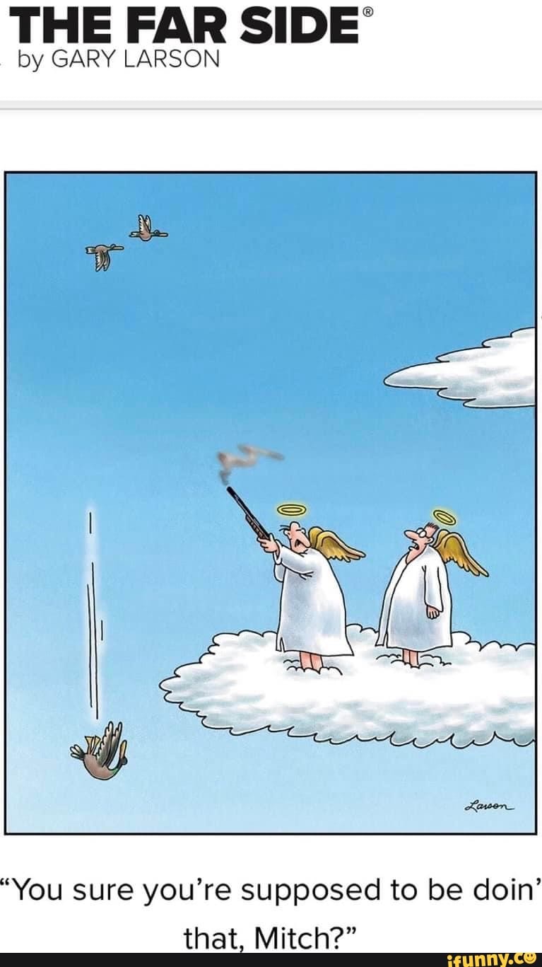 THE FAR SIDE' by GARY LARSON "You sure you're supposed to be doin that ...