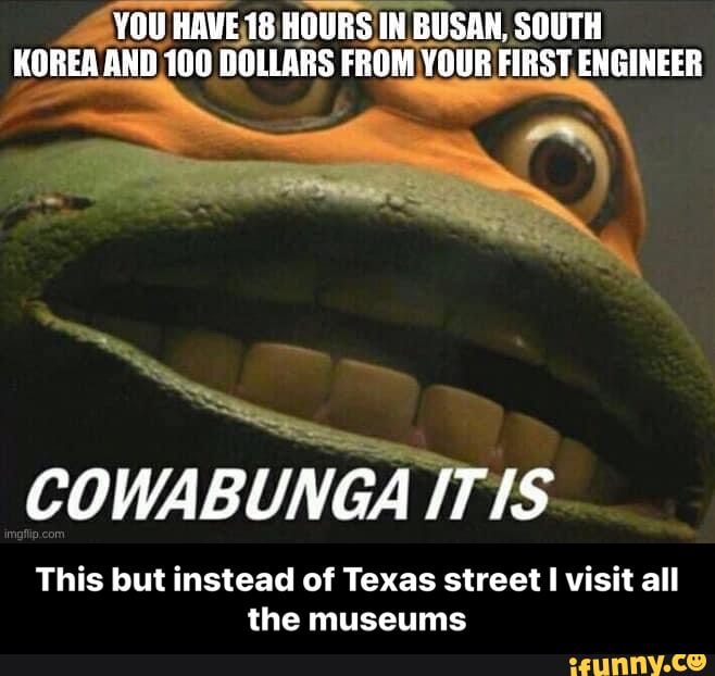 Cowabunga memes. Best Collection of funny Cowabunga pictures on iFunny