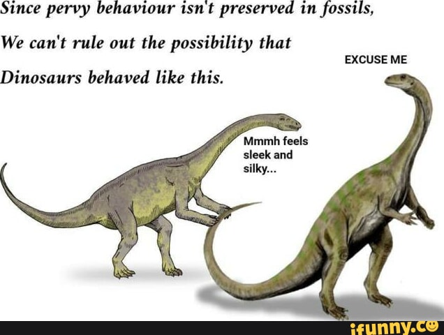 Behaviour memes. Best Collection of funny Behaviour pictures on iFunny