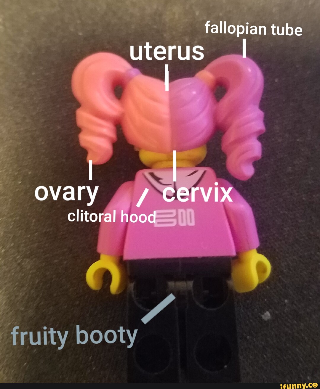 Fallopian tube uterus I ovary cervix clitoral hood fruity booty - iFunny