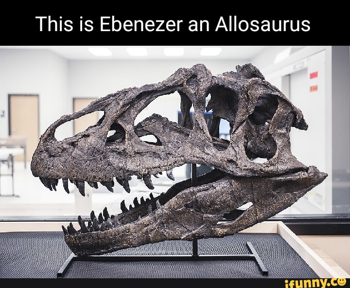 Allosaurus memes. Best Collection of funny Allosaurus pictures on iFunny