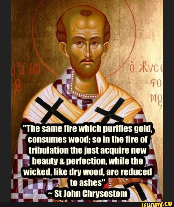 Ave "The same fire which purifies gold, consumes wood: so in the fire ...