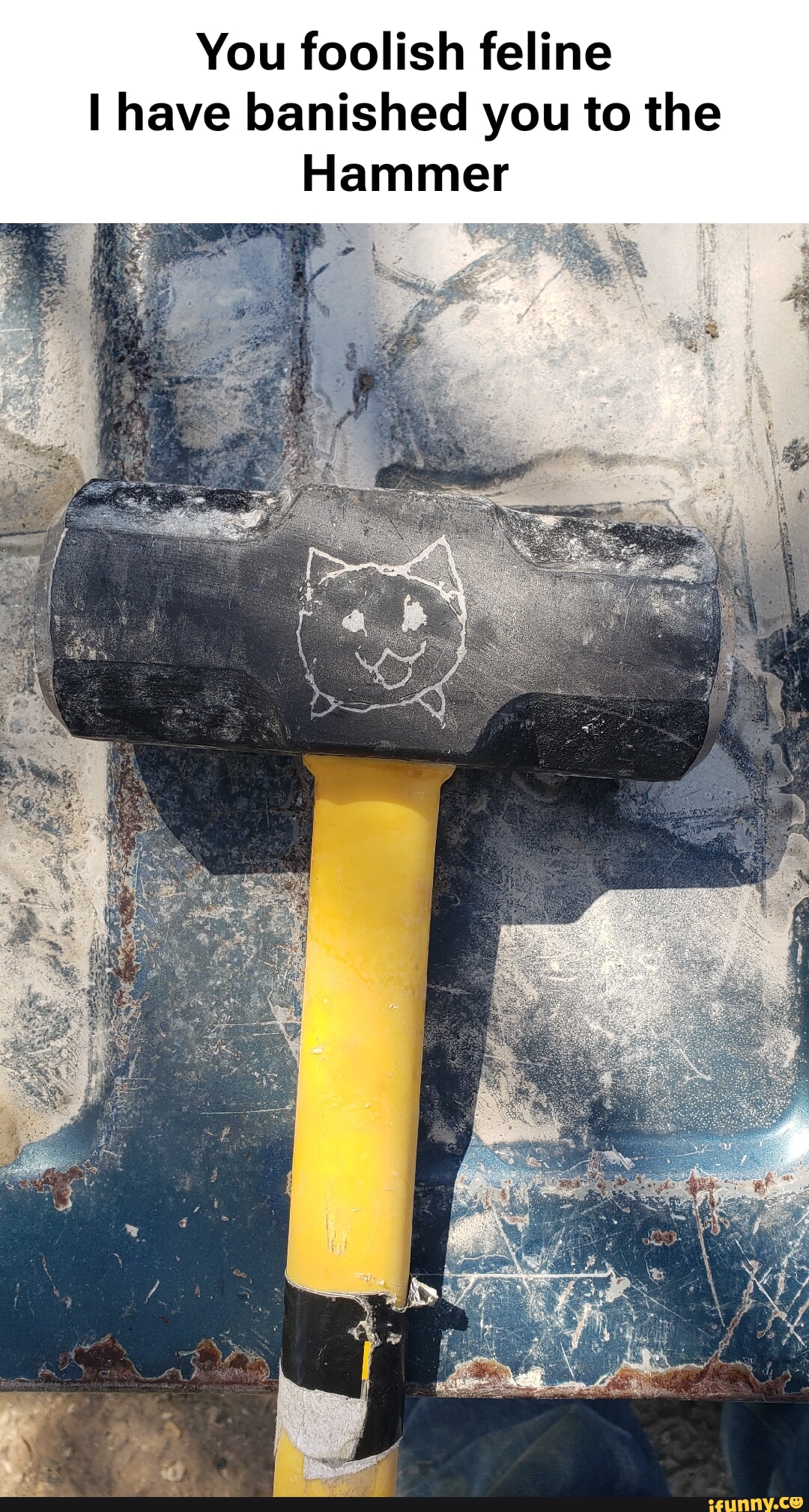 Battlecats memes. Best Collection of funny Battlecats pictures on iFunny