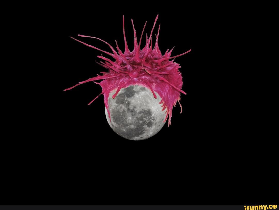 Full_moon memes. Best Collection of funny Full_moon pictures on iFunny