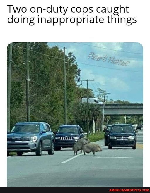 -ZF - Two on-duty cops caught doing inappropriate things - America’s ...