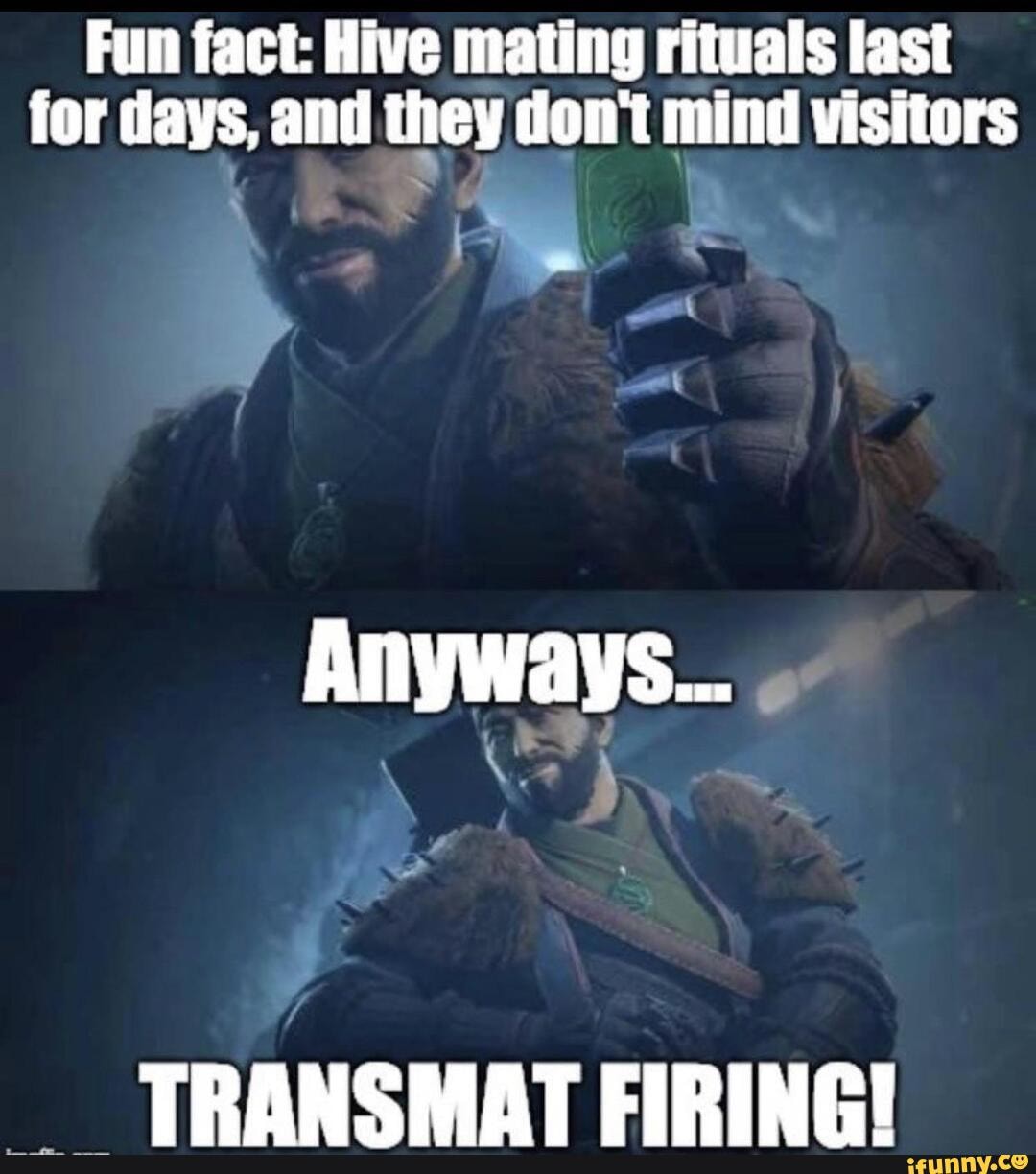 Fun fact: Hive mating rituals last for days, and they don't mind ...