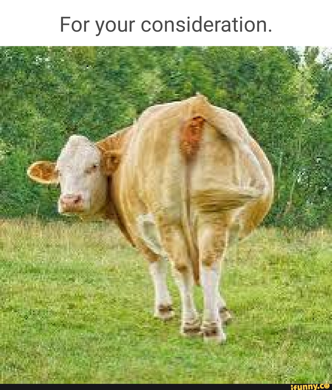 Consideration memes. Best Collection of funny Consideration pictures on ...