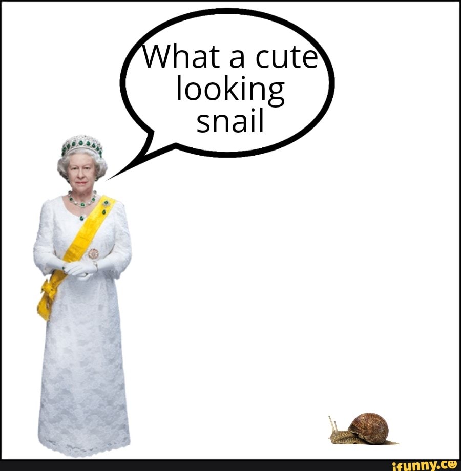 What a cute looking Snail - iFunny