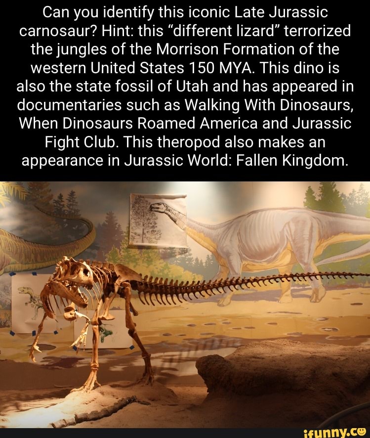 Can you identify this iconic Late Jurassic carnosaur? Hint: this ...