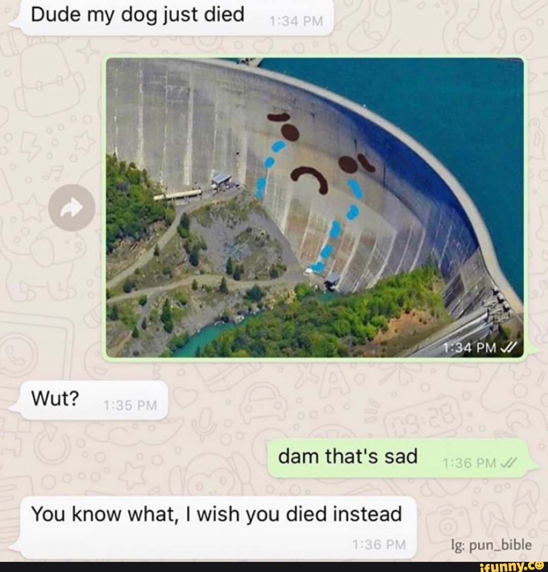 Dude my dog just died dam that's sad You know what, I wish you died ...
