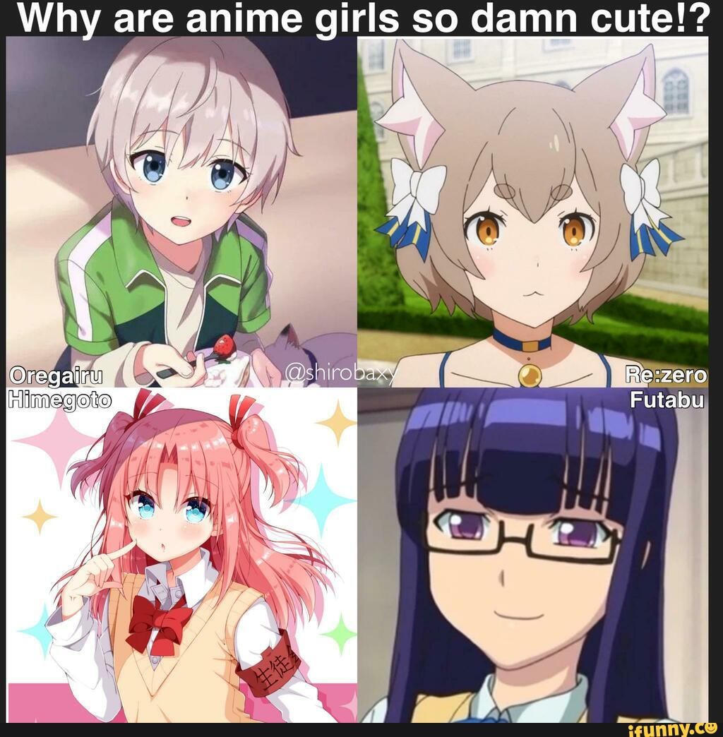 Futabu memes. Best Collection of funny Futabu pictures on iFunny