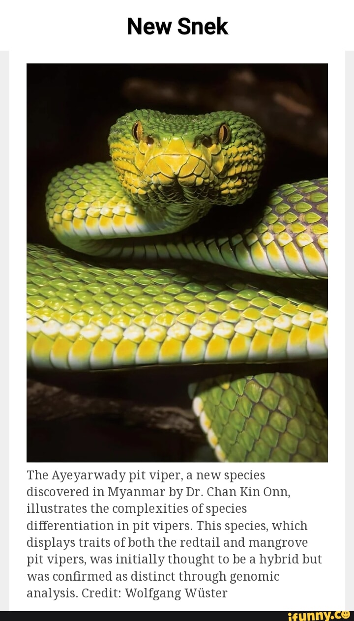 Differentiation memes. Best Collection of funny Differentiation ...