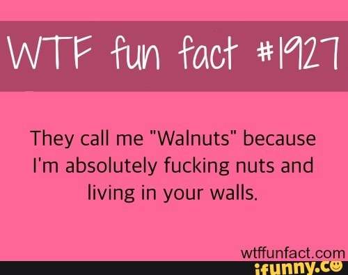 Walnuts memes. Best Collection of funny Walnuts pictures on iFunny