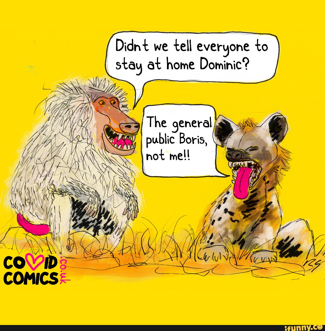 Generalg memes. Best Collection of funny Generalg pictures on iFunny