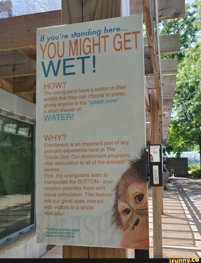 HOW? The orangutans have a button in their exhibit that they can choose ...