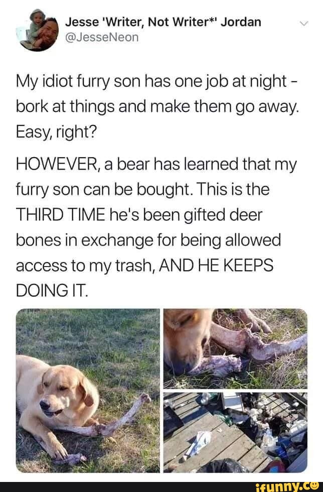 Bork memes. Best Collection of funny Bork pictures on iFunny