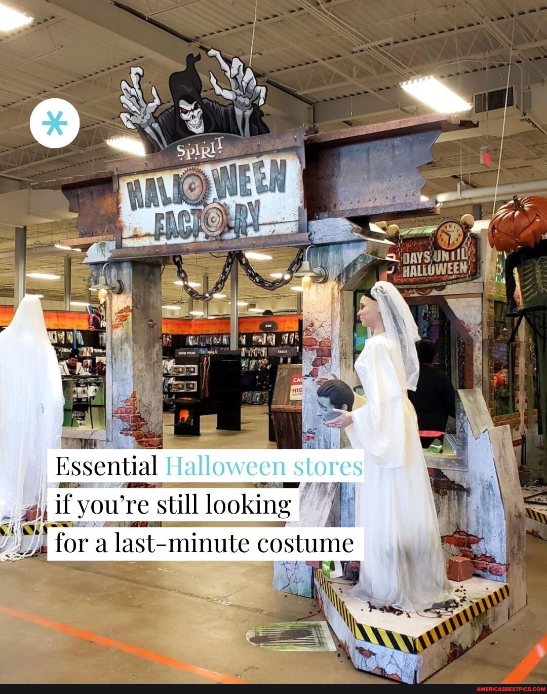 LINK IN BIO Dont worry if youre a procrastinatorwe got you Here are the best places to find a ...