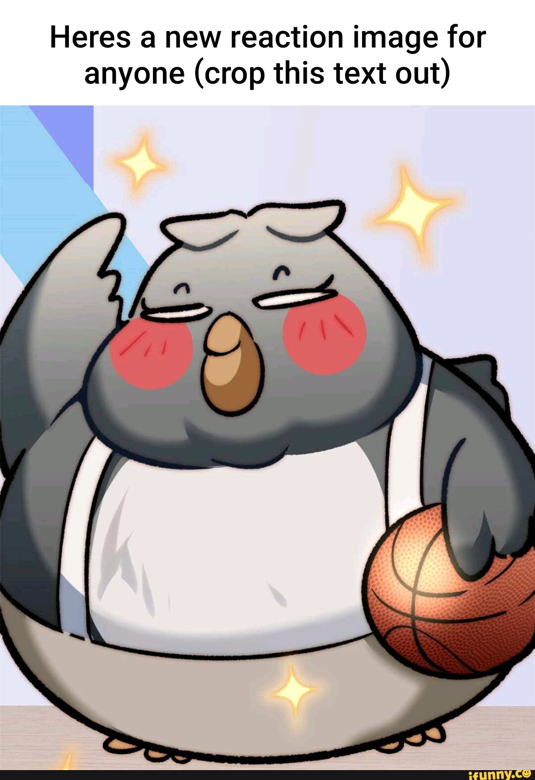 Heres new reaction image for anyone (crop this text out) - iFunny