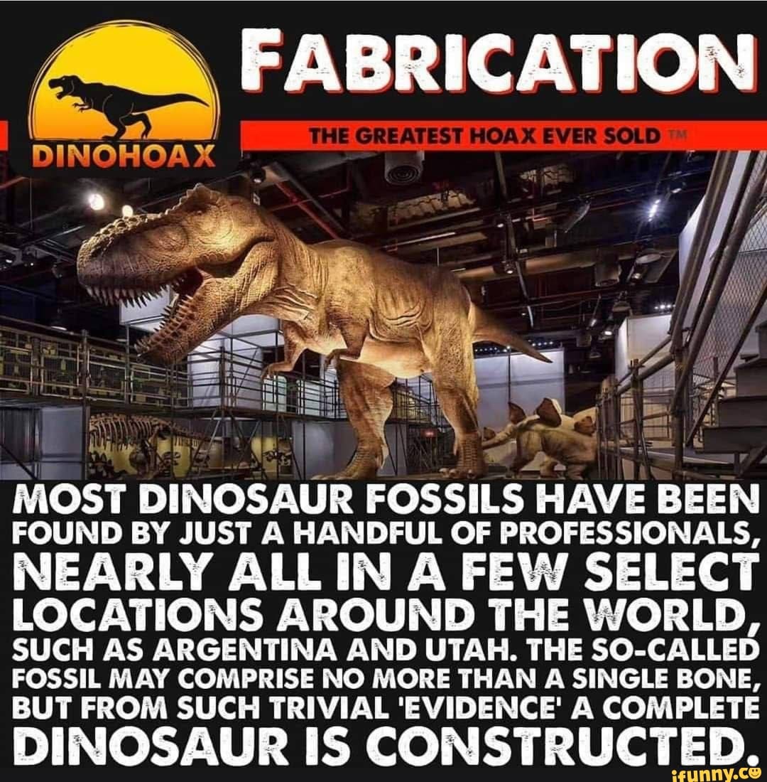 FABRICATION Val- EVER SOLD MOST DINOSAUR FOSSILS I HAVE BEEN FOUND BY ...