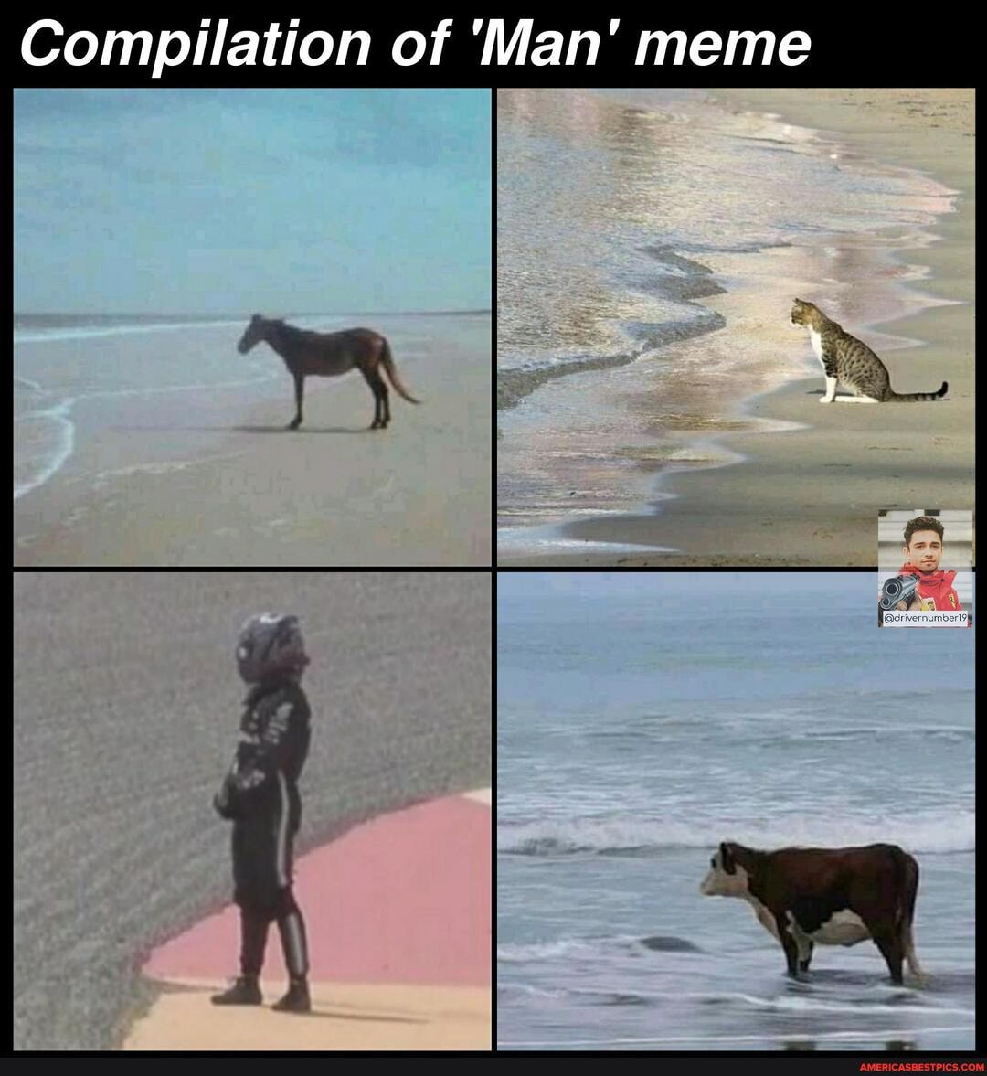 Compilation of 'Man' meme - America’s best pics and videos