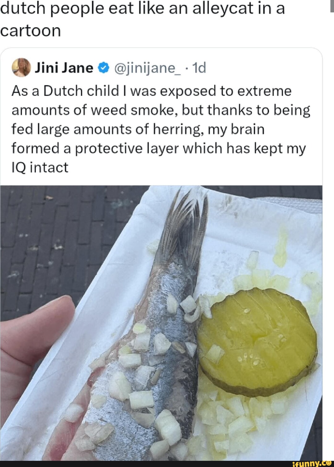 Dutch people eat like an alleycat ina cartoon Jini Jane @jinijane_- As ...