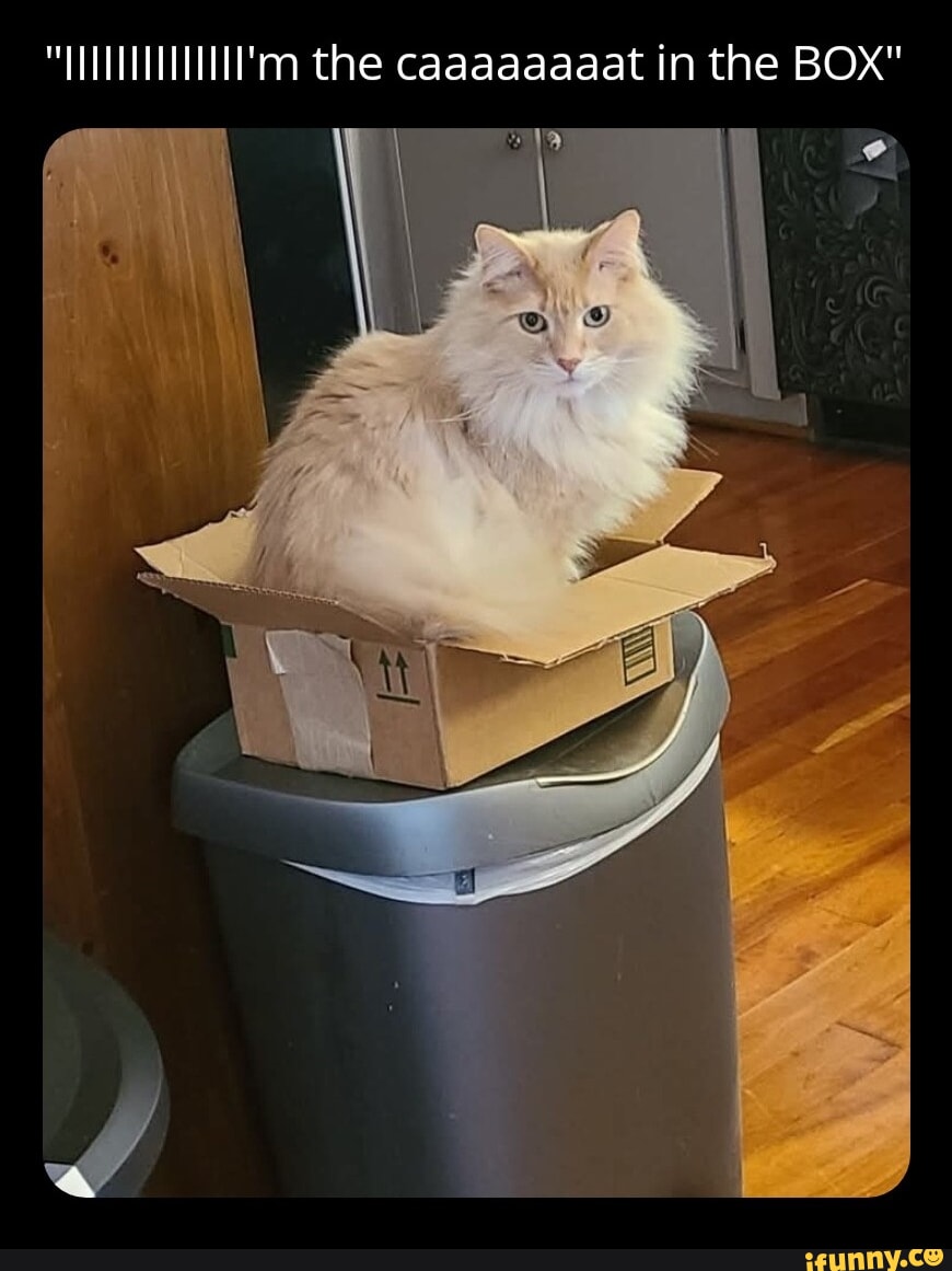 Grunge memes. Best Collection of funny Grunge pictures on iFunny