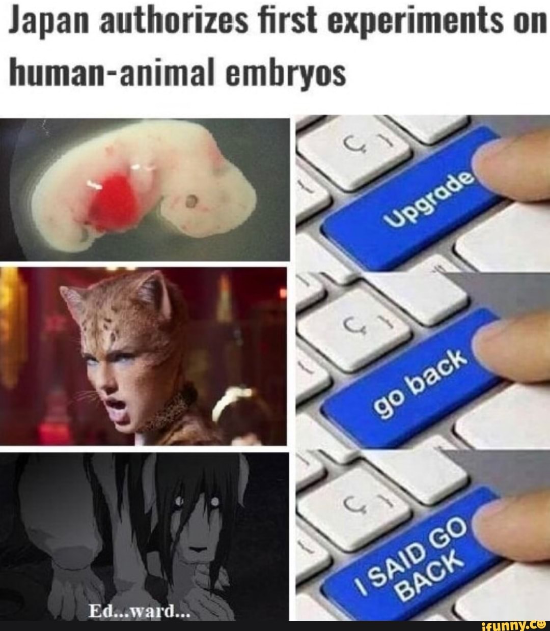 Japan authorizes ﬁrst experiments on human-animal embryos - iFunny