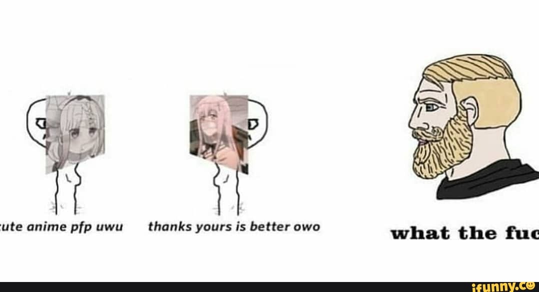 Ute anime pfp uwu thanks yours is better owo what the fuc - iFunny