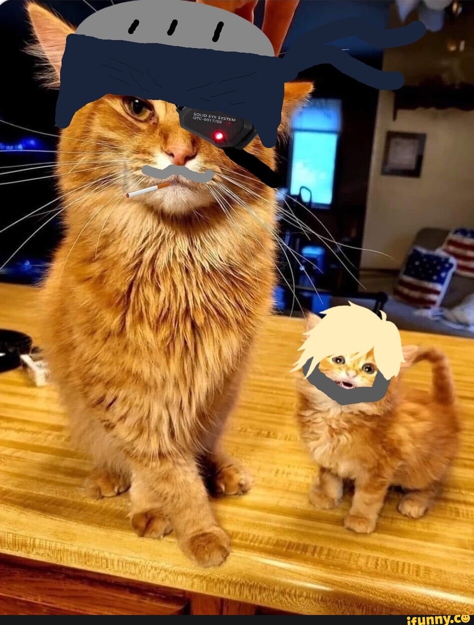 Raiden memes. Best Collection of funny Raiden pictures on iFunny