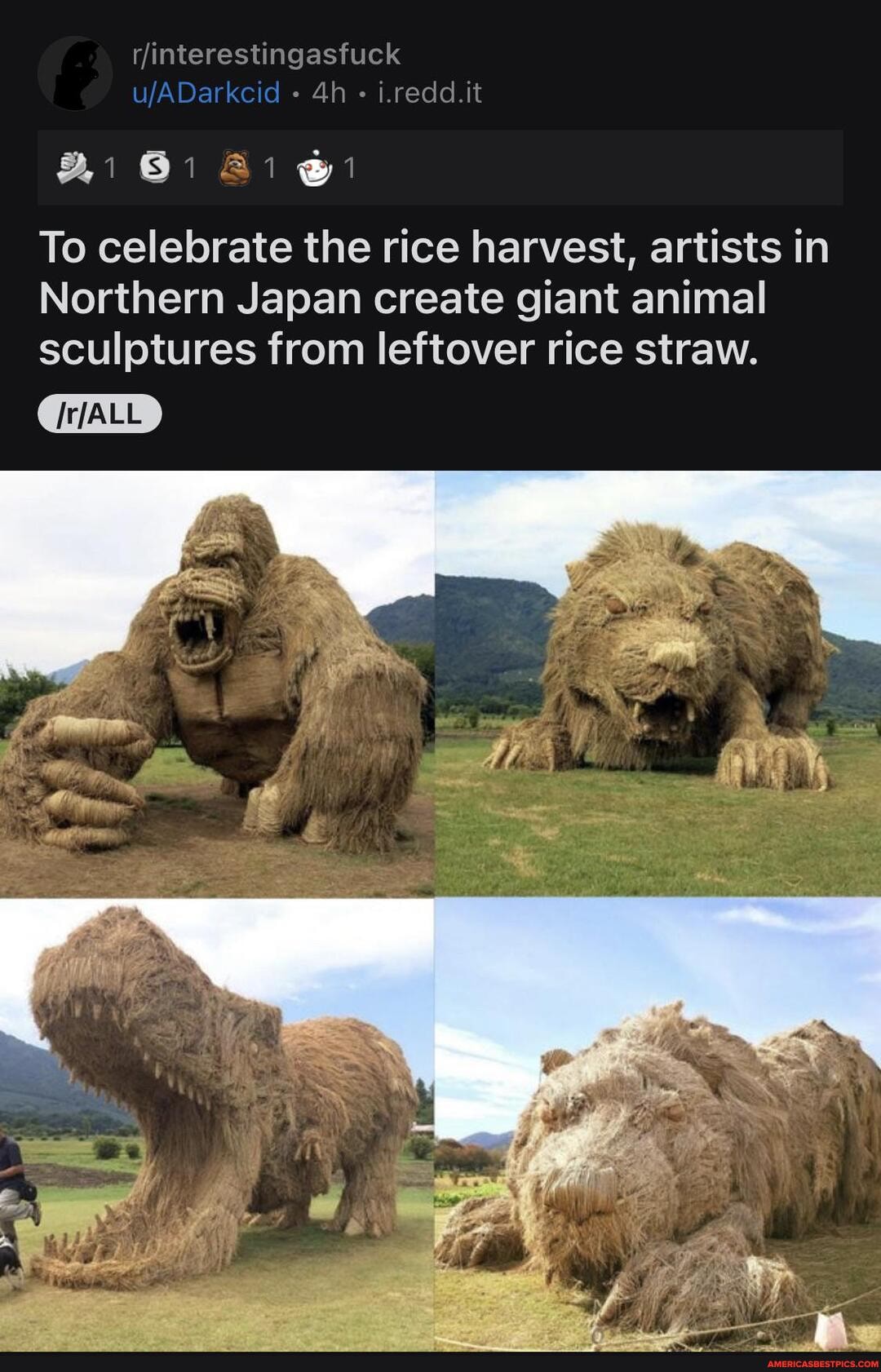 Interestingasfuck i.redd.it Ai To celebrate the rice harvest, artists ...