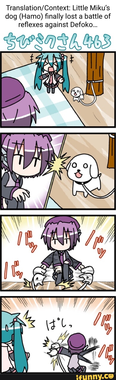 Little Miku's dog (Hamo) finally lost a battle of reflexes against ...