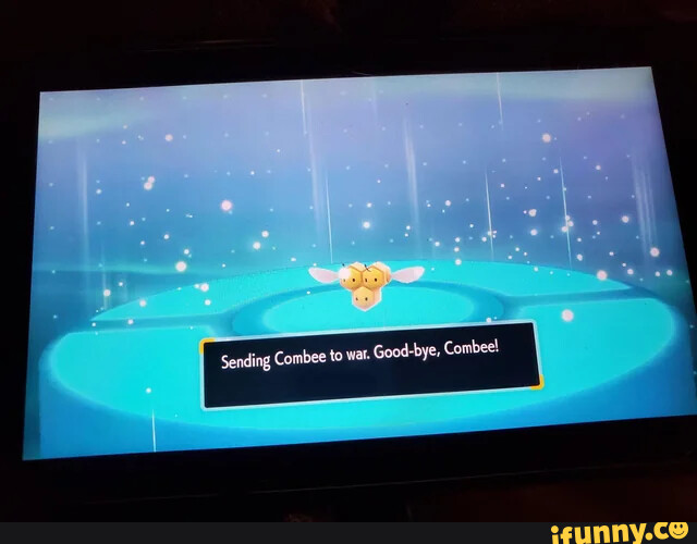 Combee memes. Best Collection of funny Combee pictures on iFunny