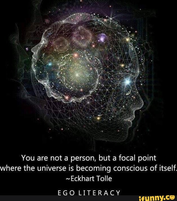 Focal memes. Best Collection of funny Focal pictures on iFunny