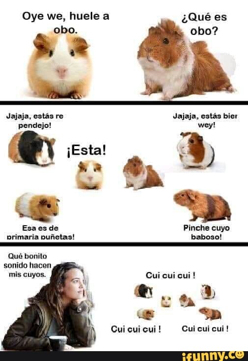 Baboso memes. Best Collection of funny Baboso pictures on iFunny