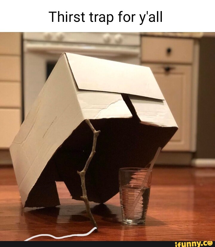 Thirst trap for y'all - iFunny