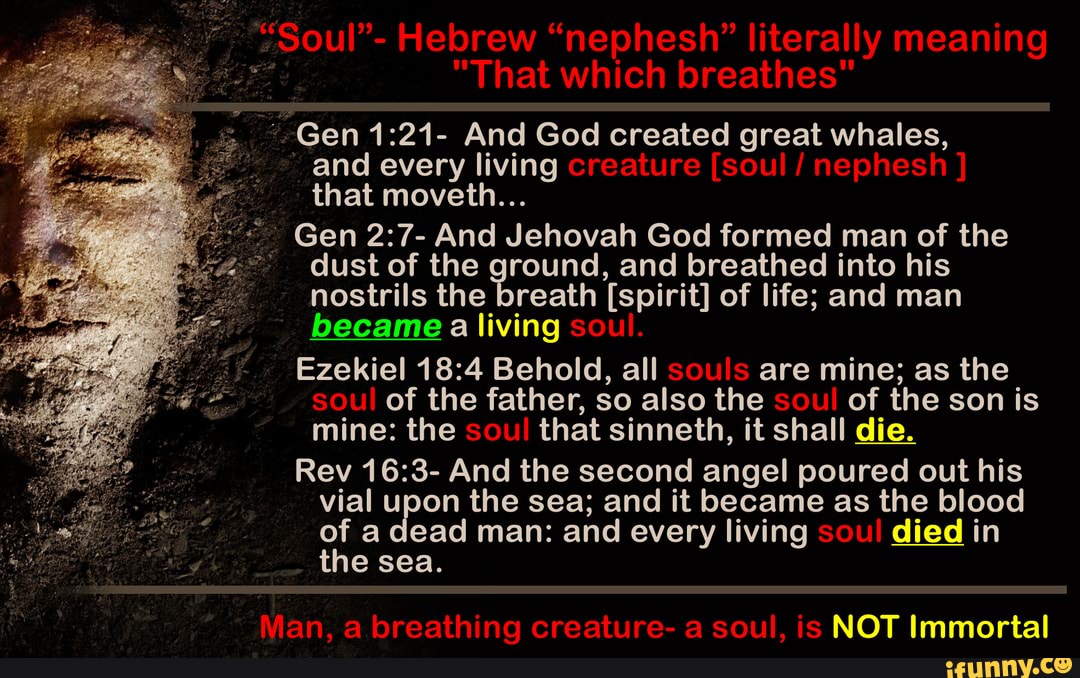 CHURCHianity has always taught the EXACT OPPOSITE! - "Soul"- Hebrew ...