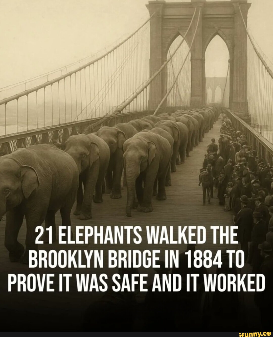 Bridge memes. Best Collection of funny Bridge pictures on iFunny