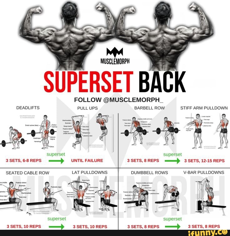 Back Exercises With Barbell