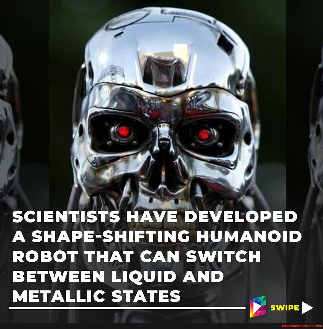 Researchers in China got the robots to navigate obstacle courses, remove objects from or take ...