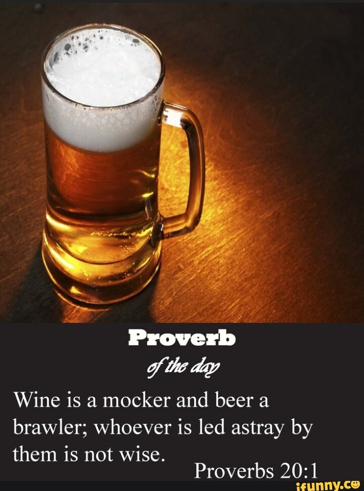 Proverb of the day Wine is a mocker and beer a brawler; whoever is led ...