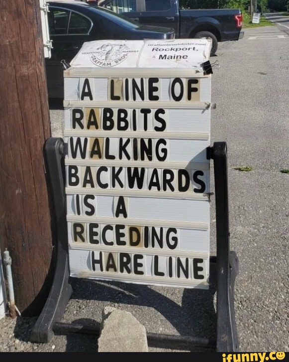LINE OF RABBITS RDWALKING BACKWARDS RECEDING I_ HARE LINEM - iFunny