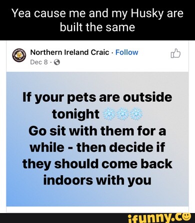 Craic memes. Best Collection of funny Craic pictures on iFunny