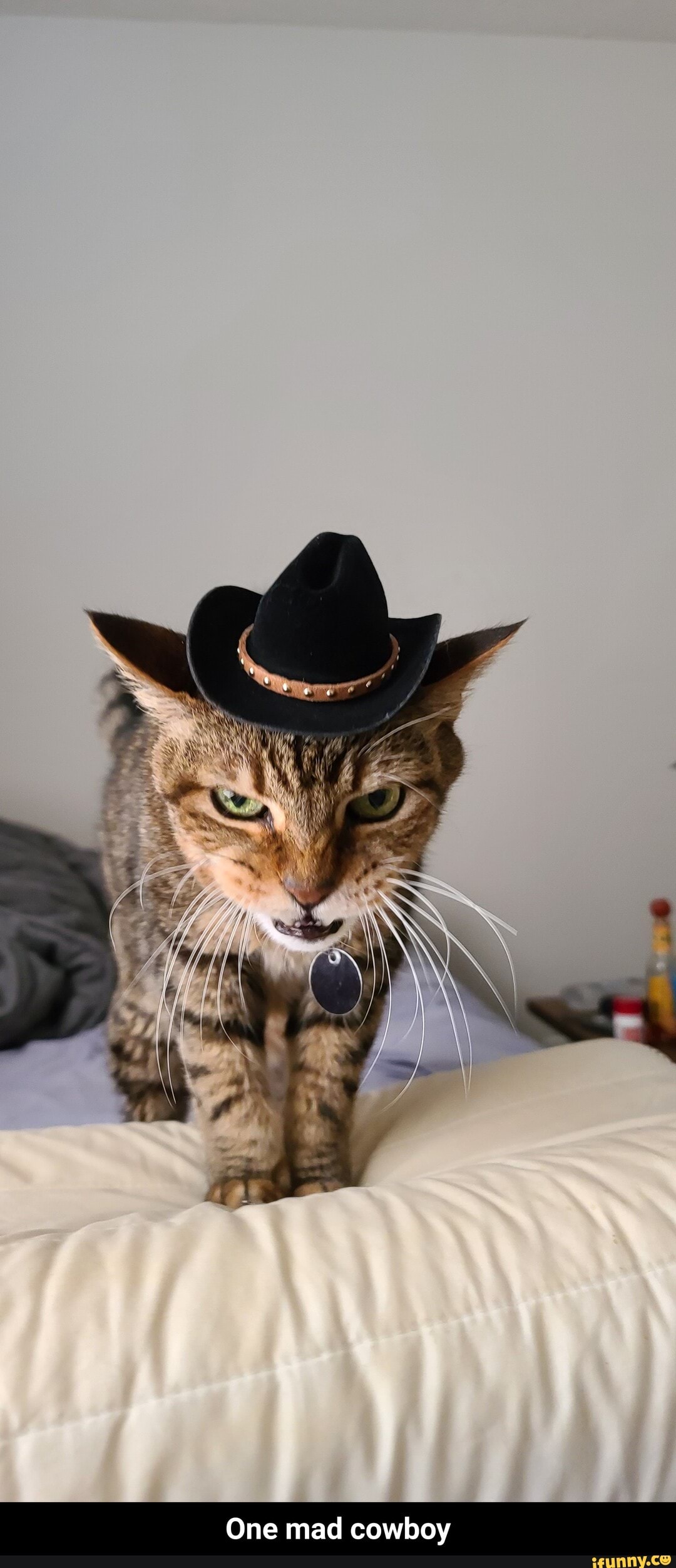 Mad Cowboy